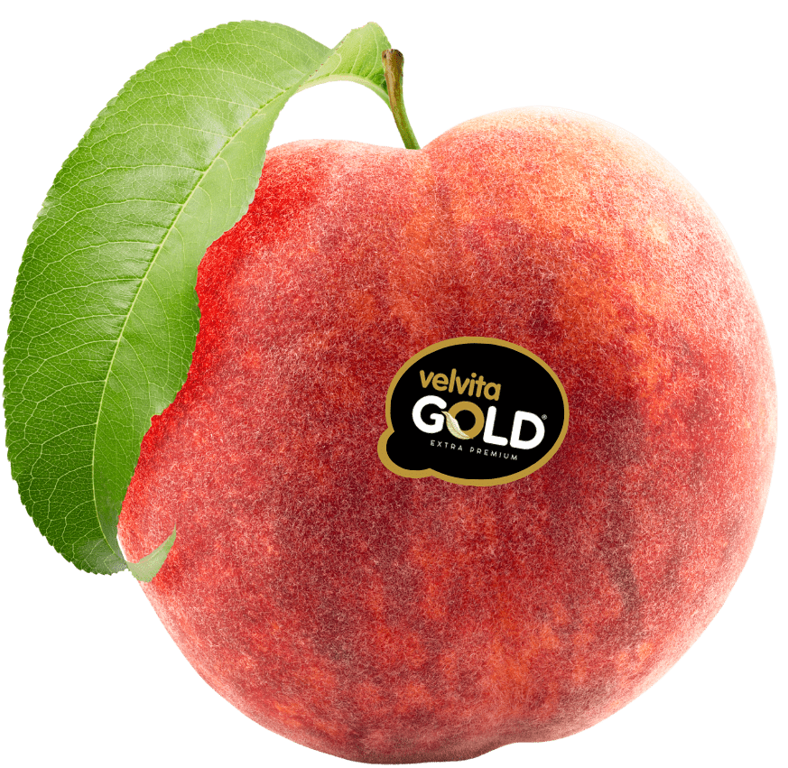 Velvita Brands – by ASEPOP VELVENTOU